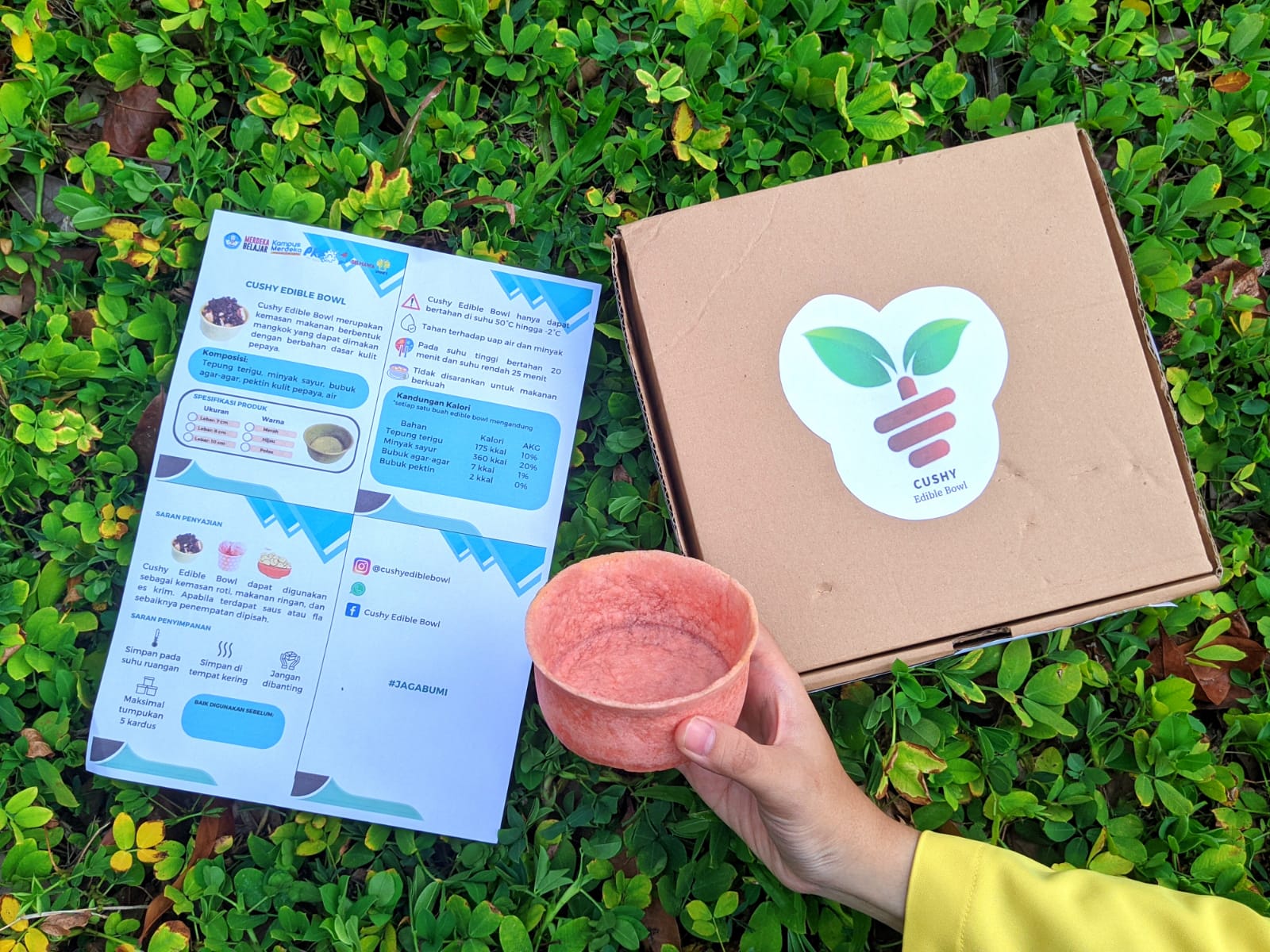 TIM PKM Kewirausahaan FMIPA Mengembangkan Inovasi Produk Edible Bowl ...
